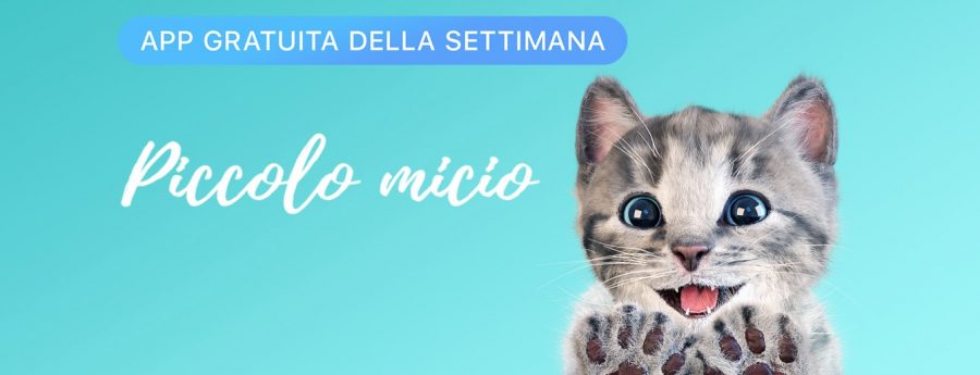 Scarica gratis l'app "Piccolo Micio" su App Store - iPhone Italia