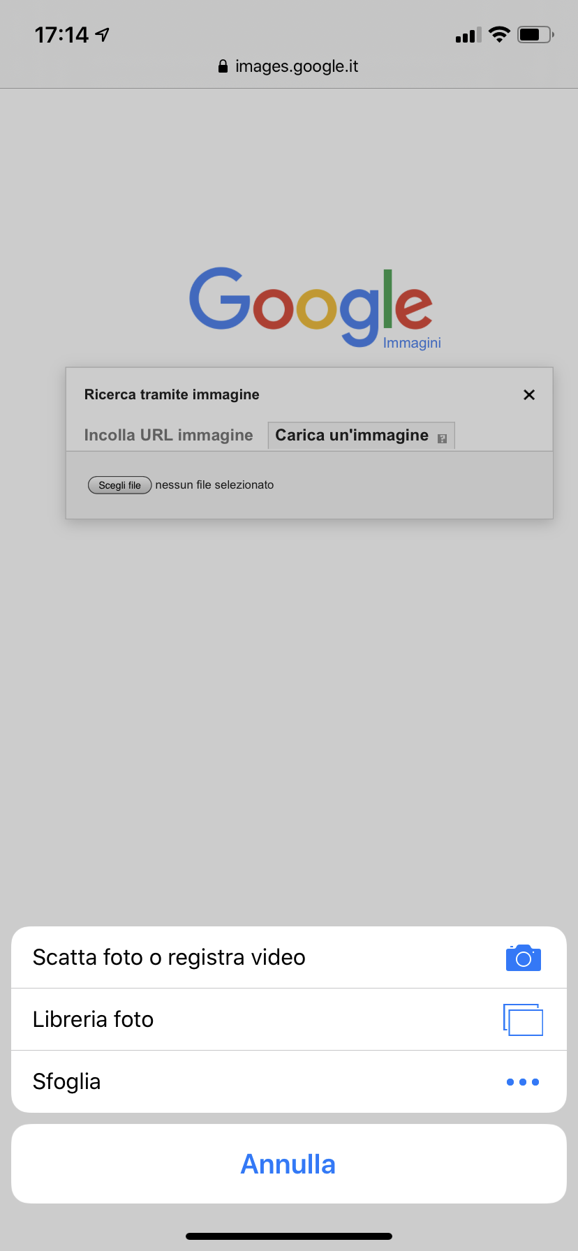 Trovare immagini correlate con la ricerca inversa su iPhone - iPhone Italia